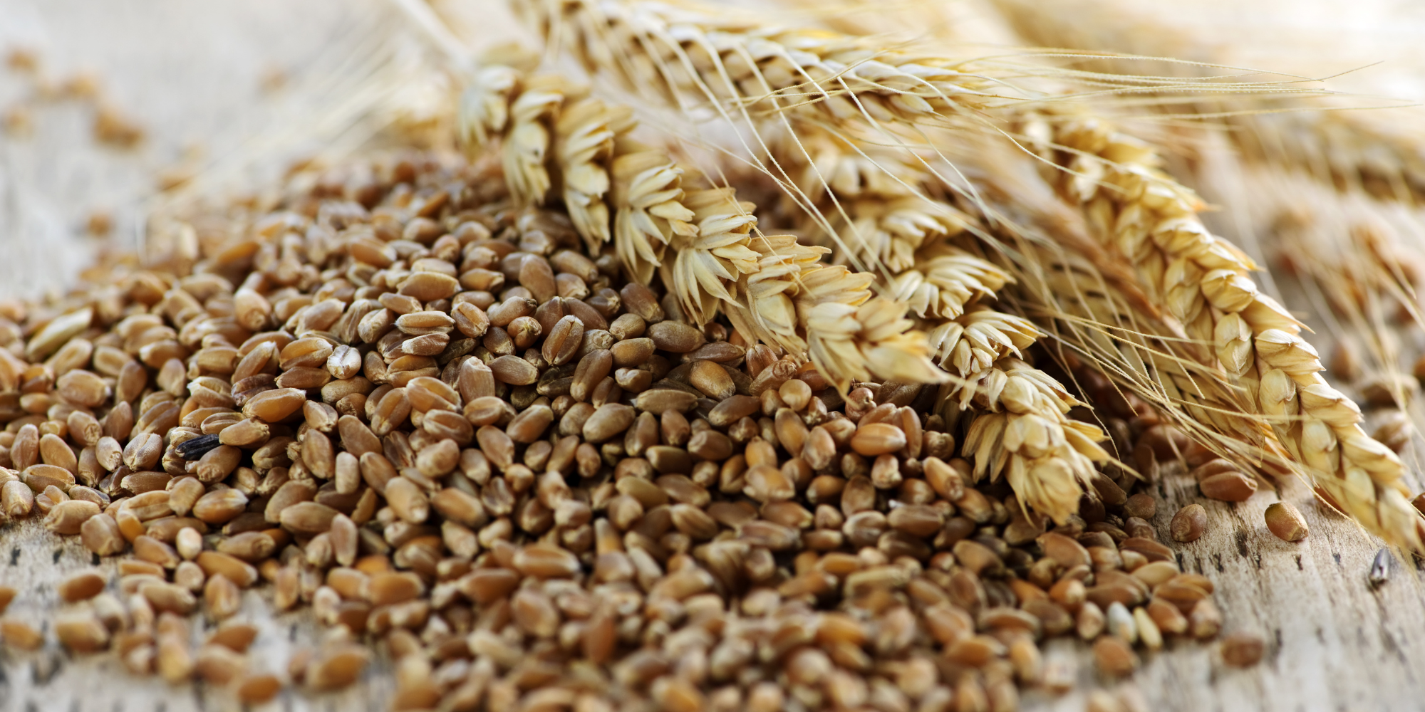 bulk food, grains, non-perishable